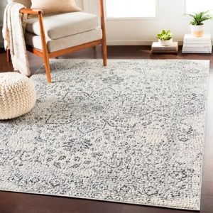 Choosing the Best Rug Color for Your Room - A Advanced Rug Care